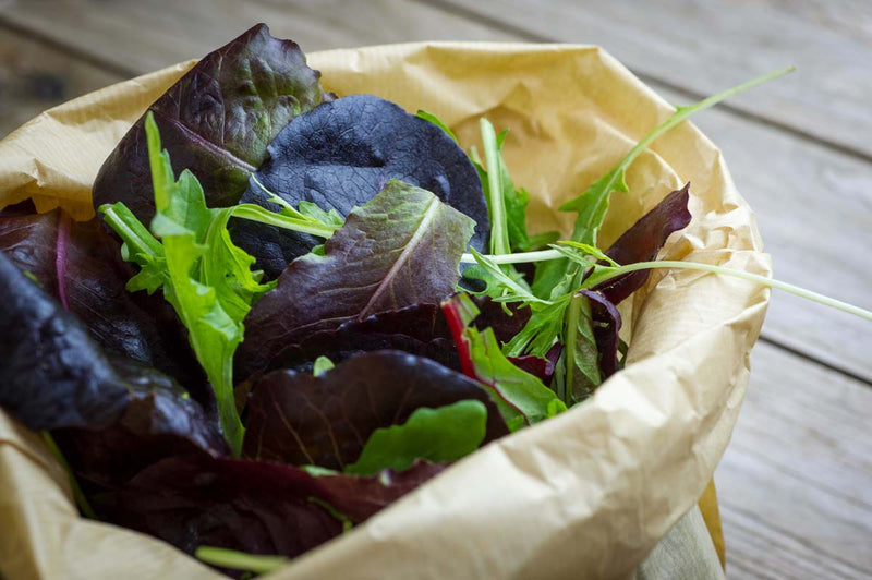 Salad – Fresh and Local UK