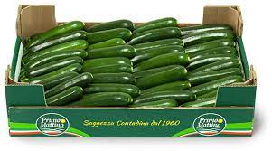 WS COURGETTES - PER BOX (6KG) – Fresh and Local UK